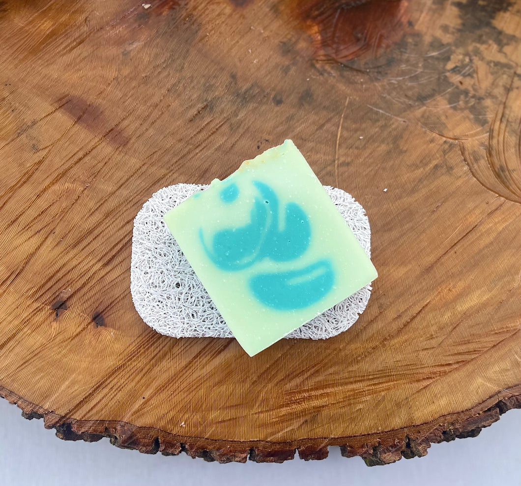 Flexible Soap Disc – Barefoot Suds